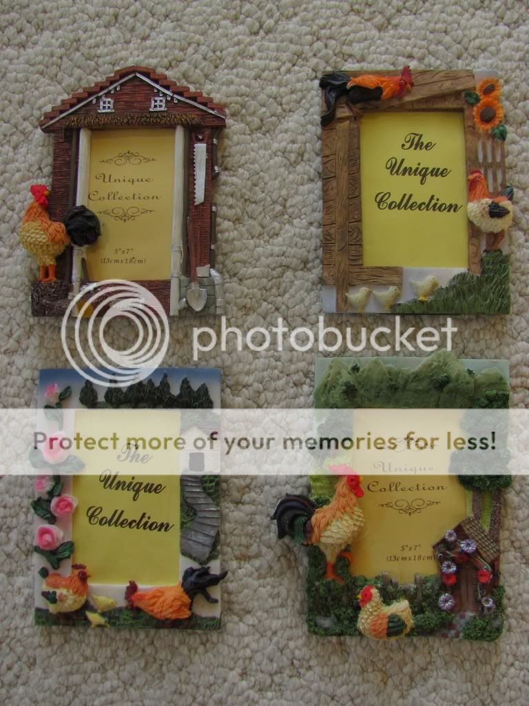 Garden Hen and Rooster-Themed Photo Frame | BackYard Chickens - Learn ...